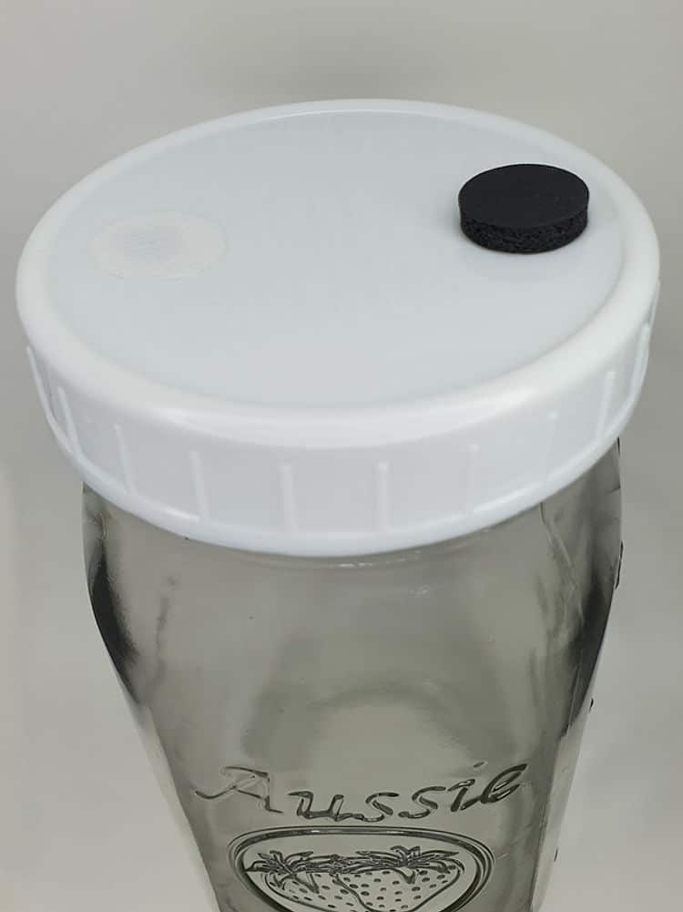 Mason jar with injection port and air vent 1L – Rootlab