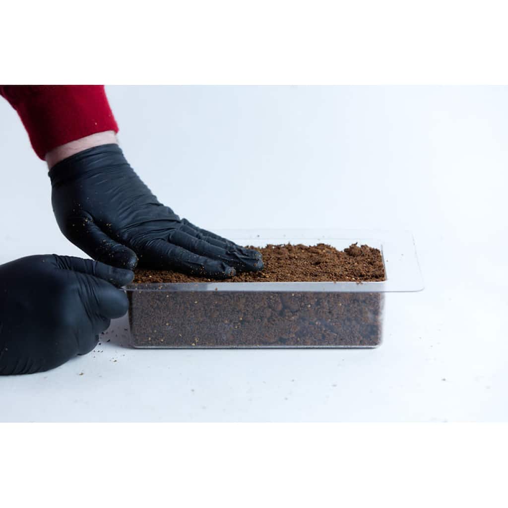 Mycelium Mold Growth Form -Brick (Reusable) | Rootlab