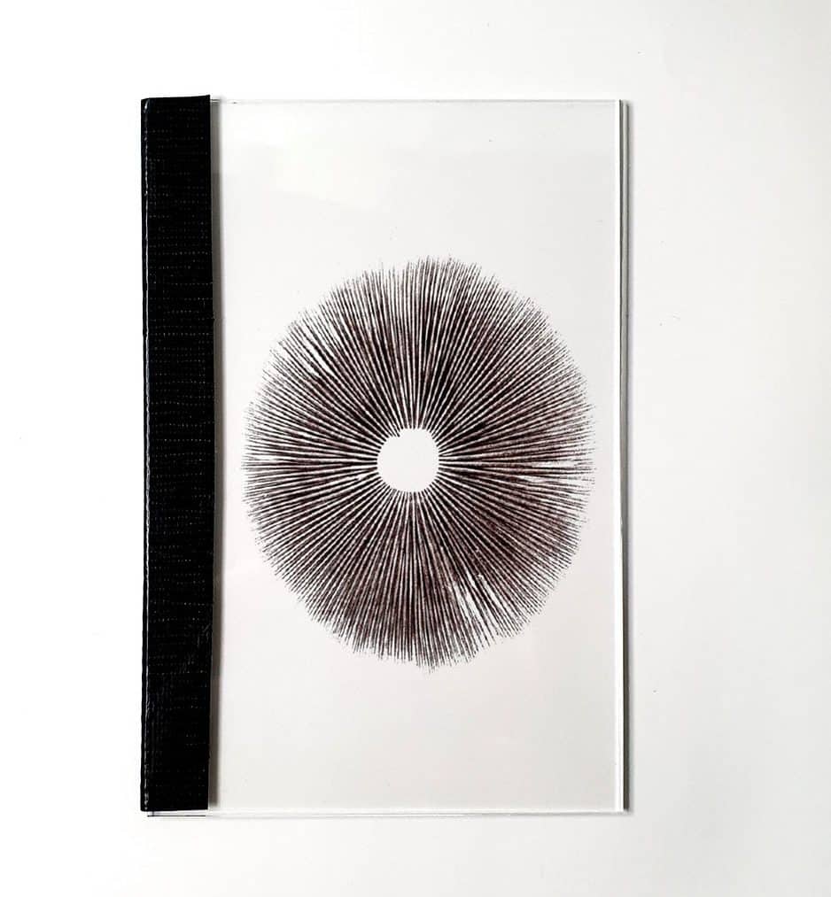 Glass Spore Print Slides Booklet 12.8cm X 8.5cm X 1mm – Rootlab