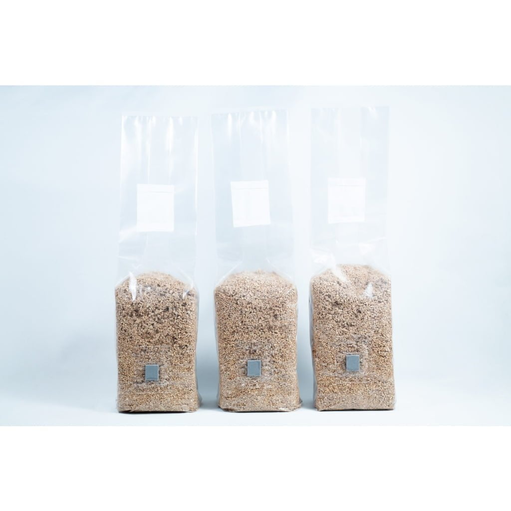 3X 1kg Brown Rice Flour (BRF) & Vermiculite Bags PF Tek – Rootlab