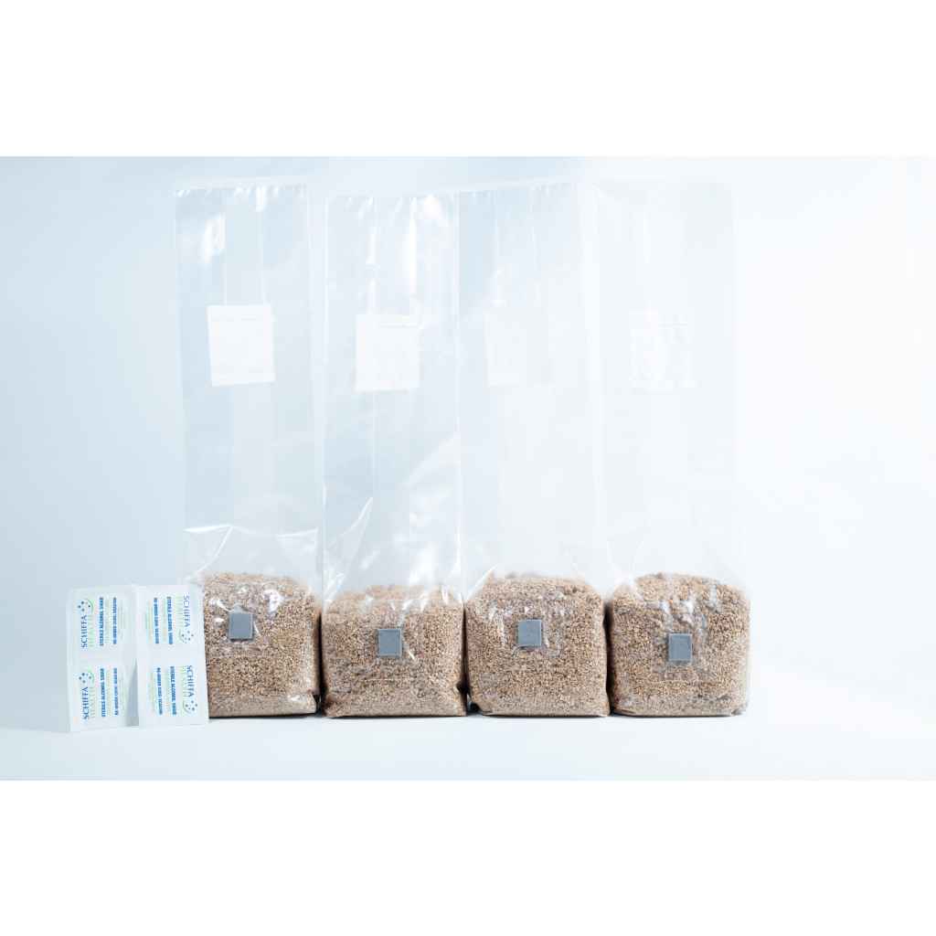 Mushroom Substrates | Rootlab