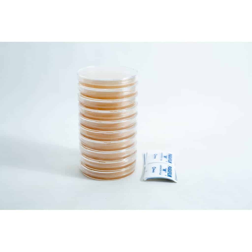 Pre-Poured MEAG Agar Plates (Antibacterial) | Rootlab