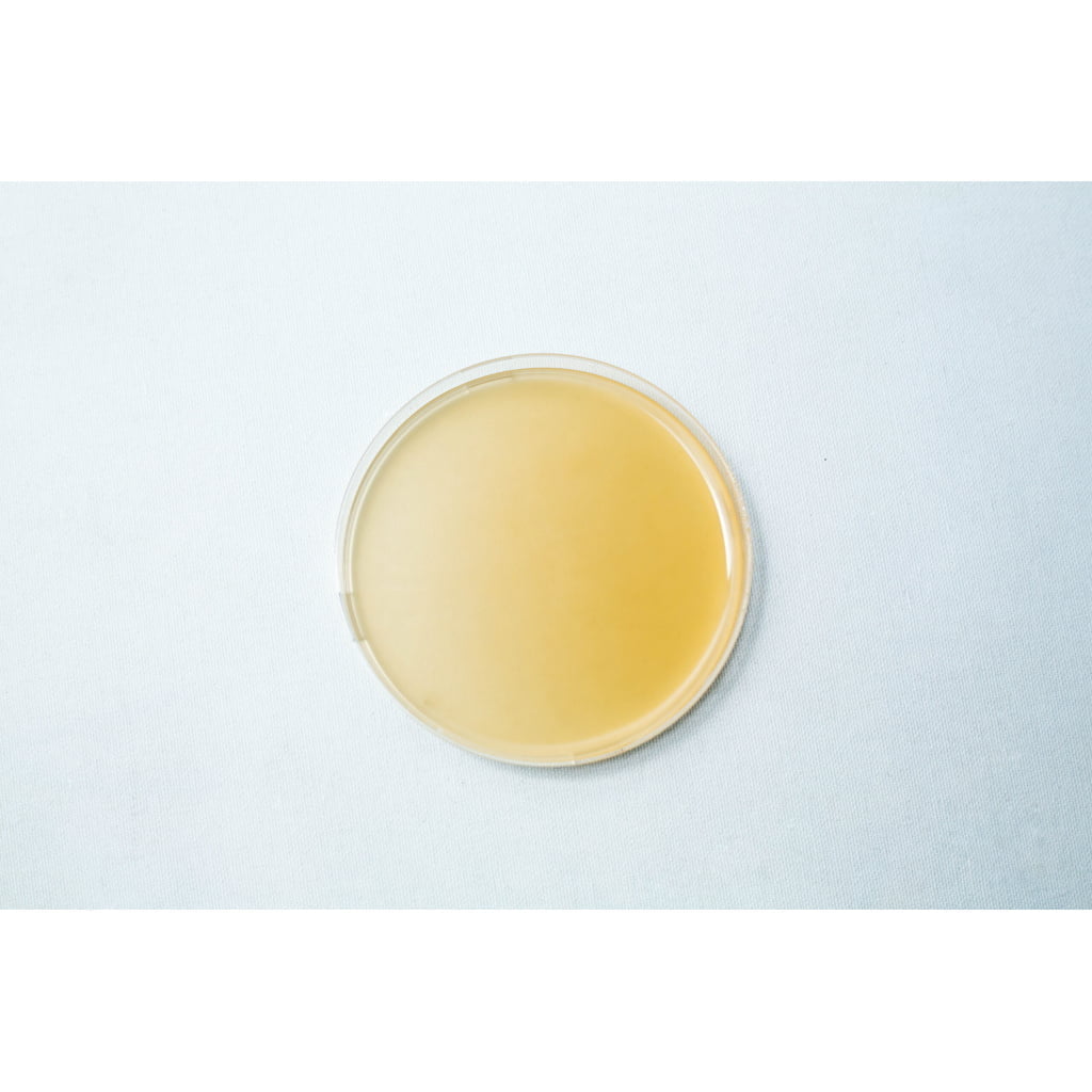Pre-Poured MEAG Agar Plates (Antibacterial) | Rootlab