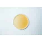 Pre-poured MYPA Agar Plates 90mm | Rootlab