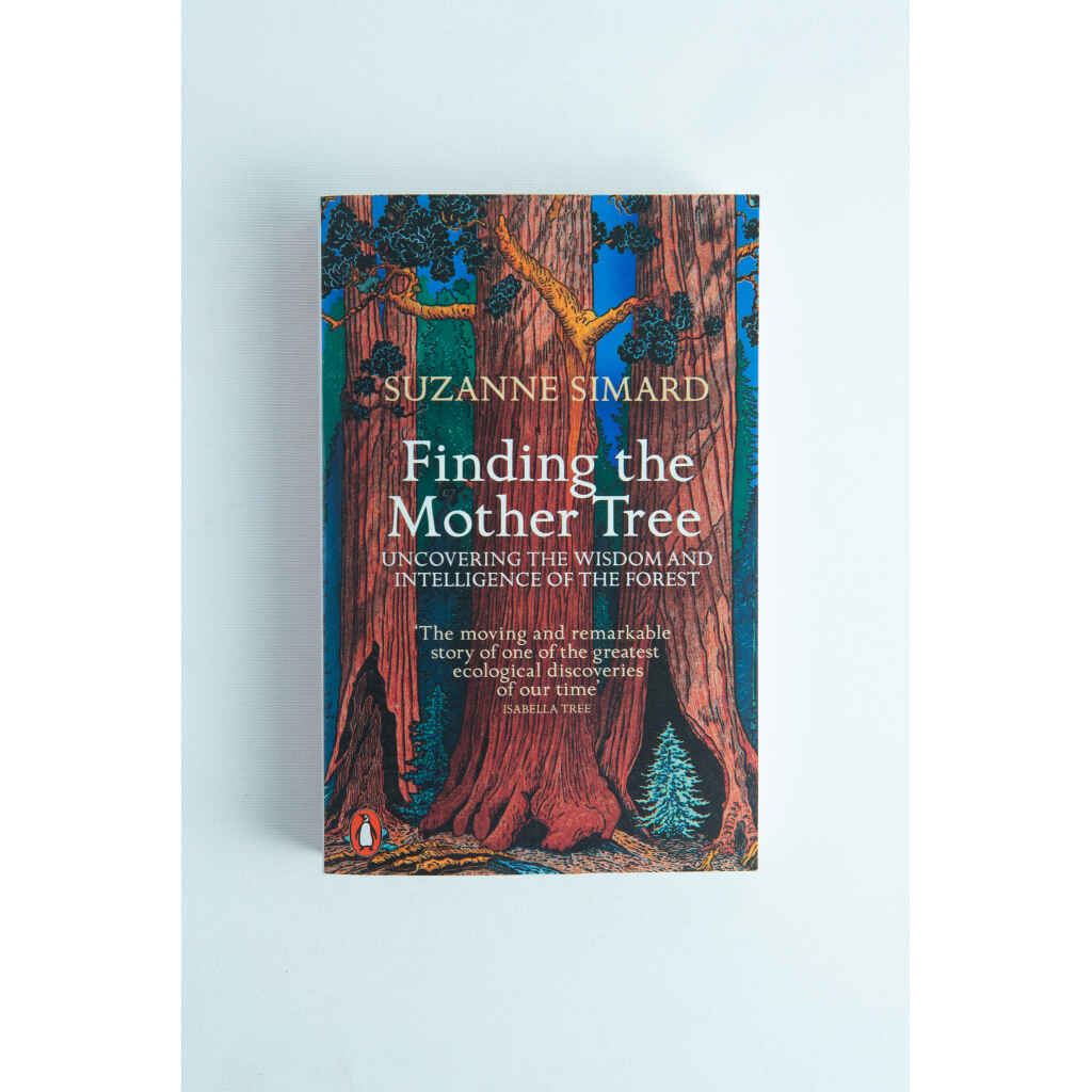 Finding The Mother Tree By Suzanne Simard | Rootlab
