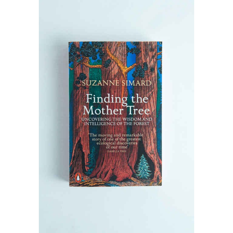 Finding The Mother Tree By Suzanne Simard | Rootlab