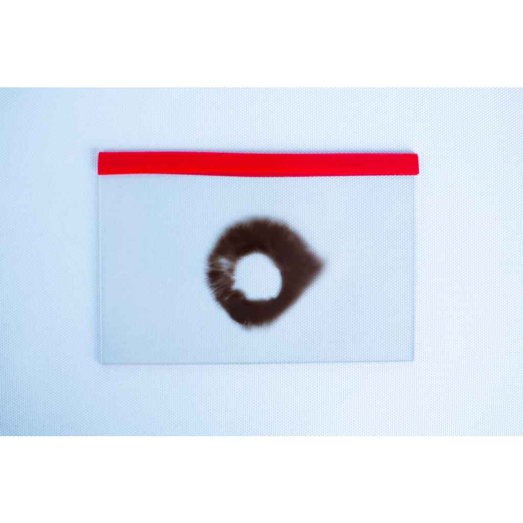 Glass Spore Print Slides Booklet 12.8cm X 8.5cm X 1mm | Rootlab