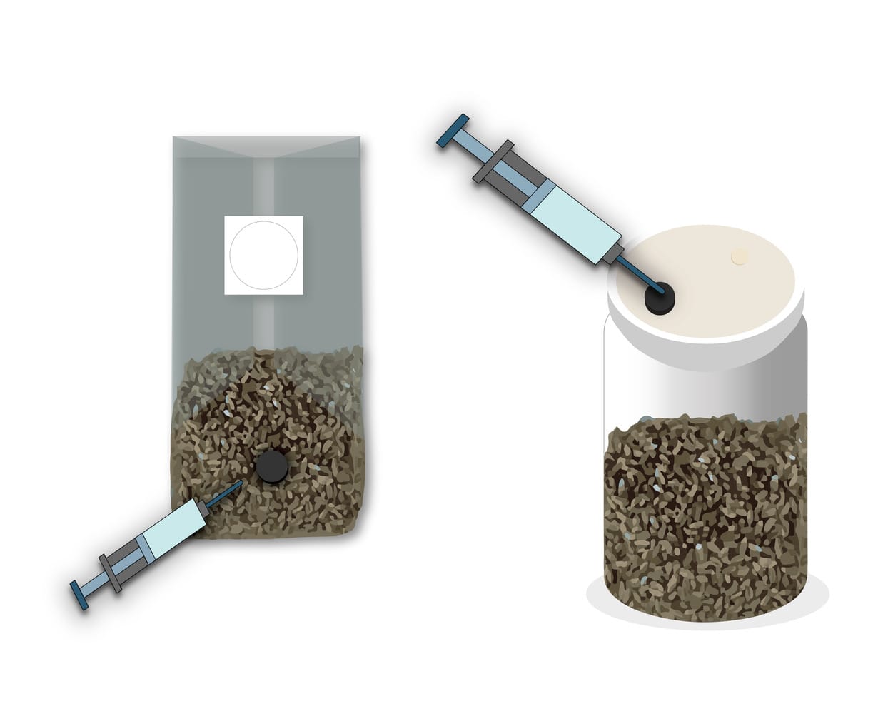 Make Grain Spawn | Rootlab