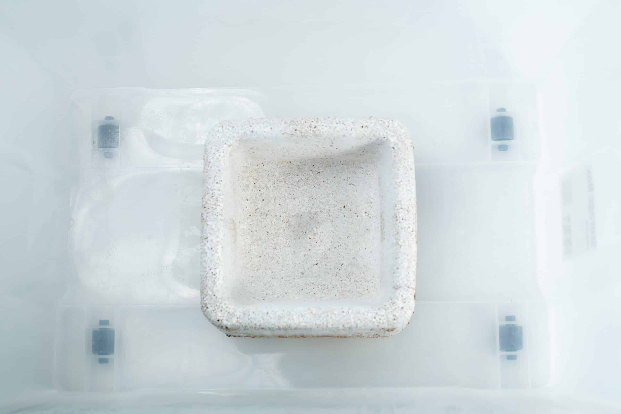 Mycelium Mold Growth Form - Plant Pot Heavy Duty (Reusable) | Rootlab