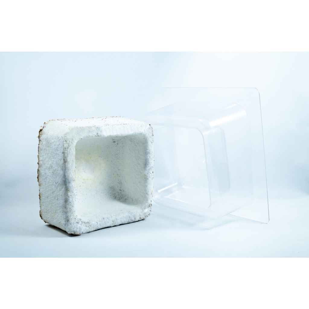 Mycelium Mold Growth Form - Plant Pot Heavy Duty (Reusable) | Rootlab