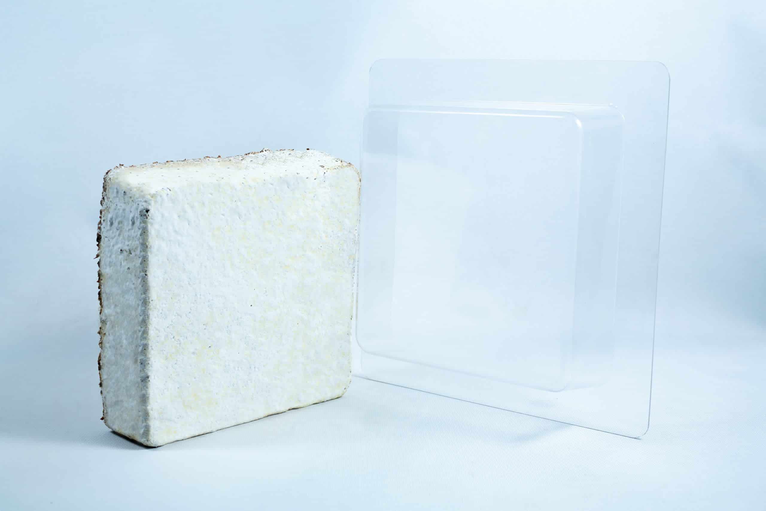 Mycelium Mold Growth Form - Paver (Reusable) | Rootlab