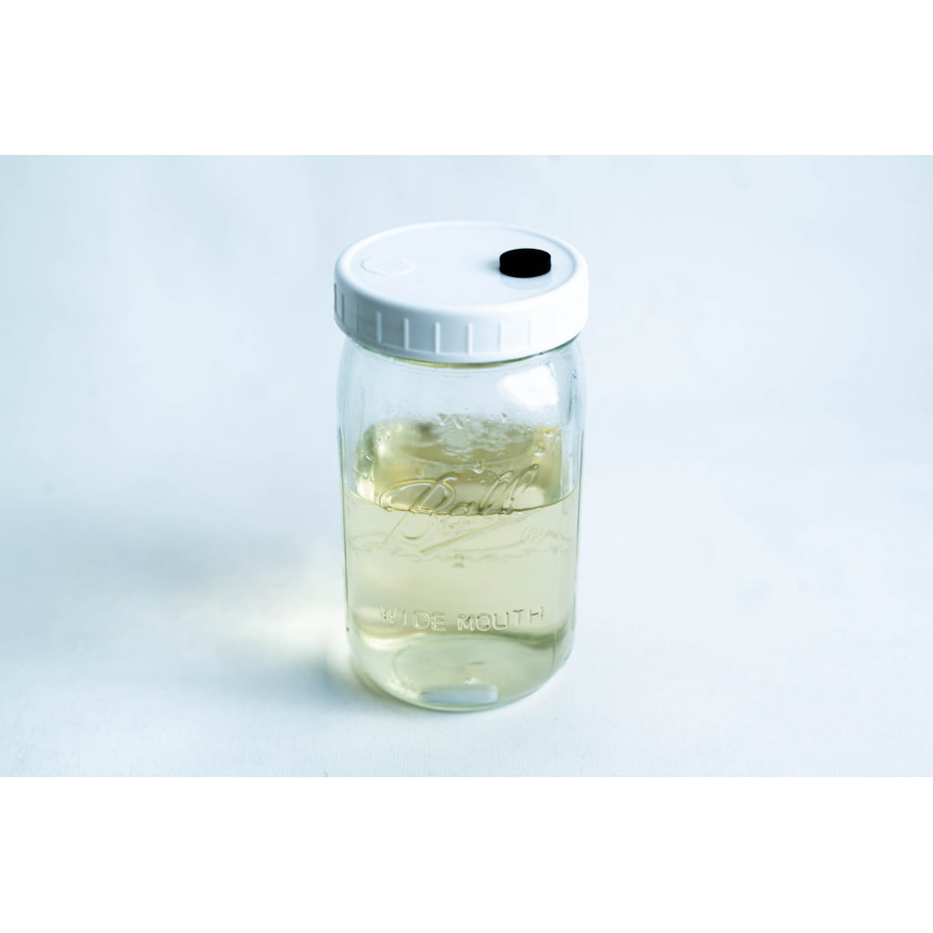 Uncolonized Liquid Culture Jars With Stirrer - Rootlab
