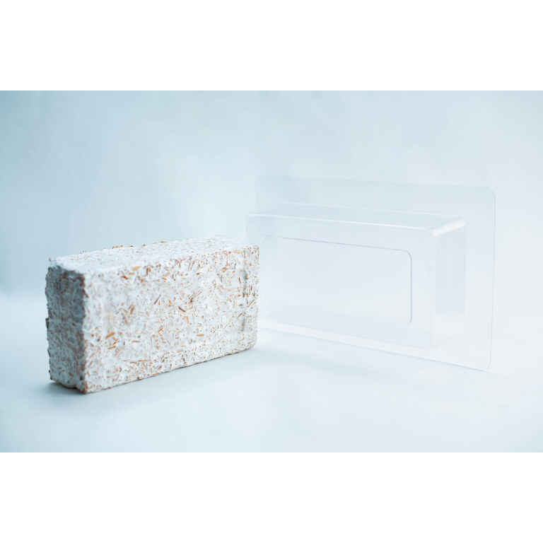 Mycelium Mold Growth Form -Brick (Reusable) | Rootlab
