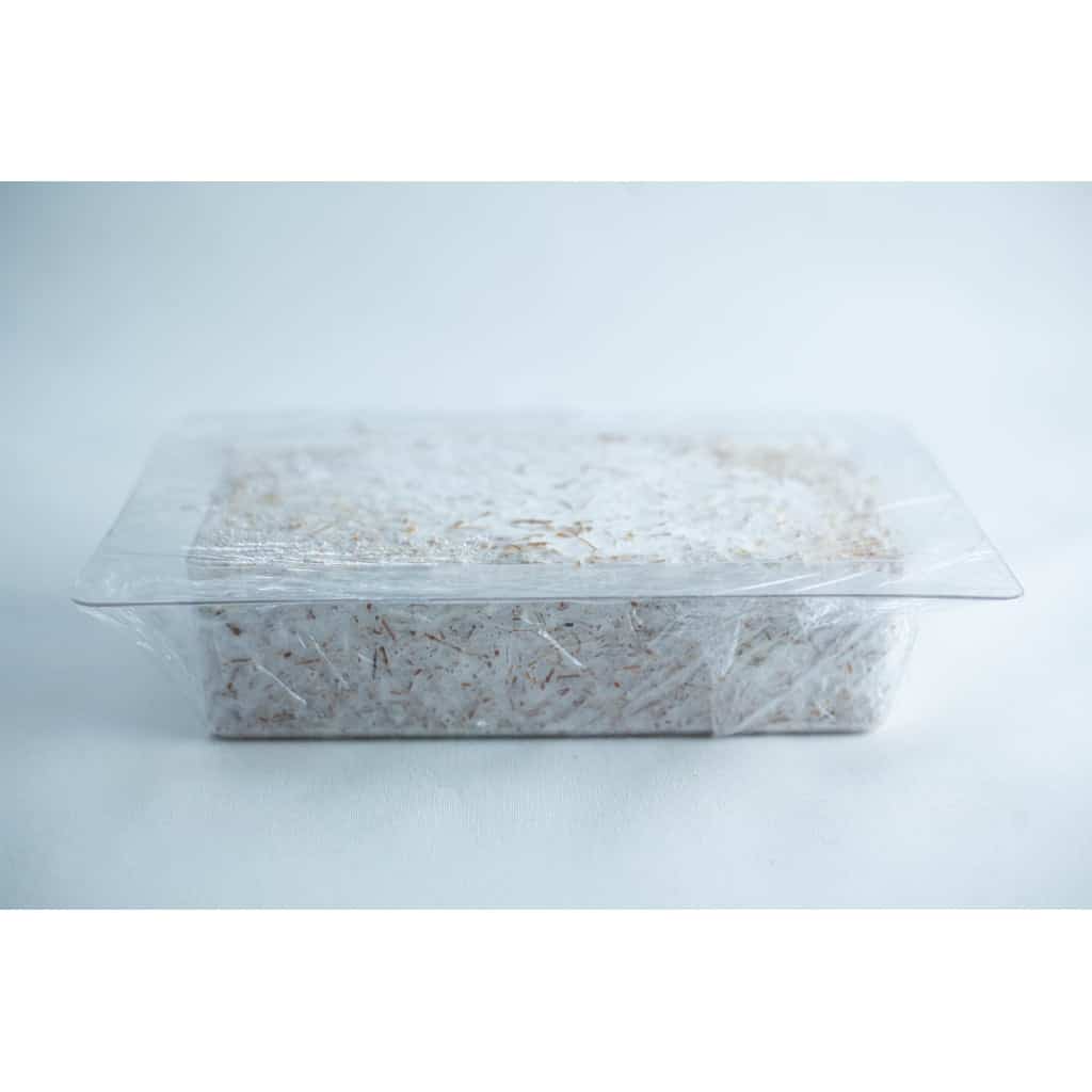 Mycelium Mold Growth Form -Brick (Reusable) | Rootlab
