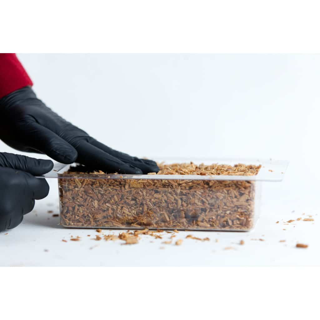 Mycelium Mold Growth Form -Brick (Reusable) | Rootlab