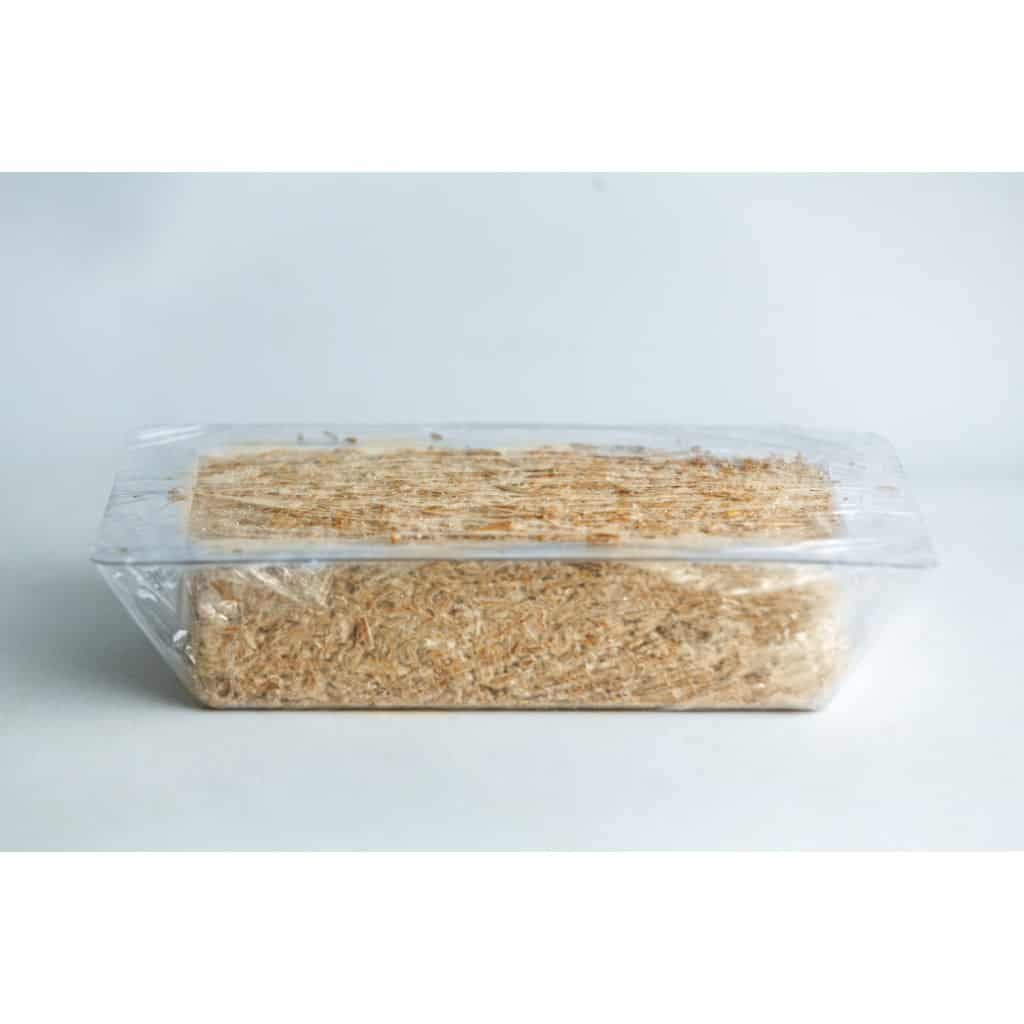 Mycelium Mold Growth Form -Brick (Reusable) | Rootlab