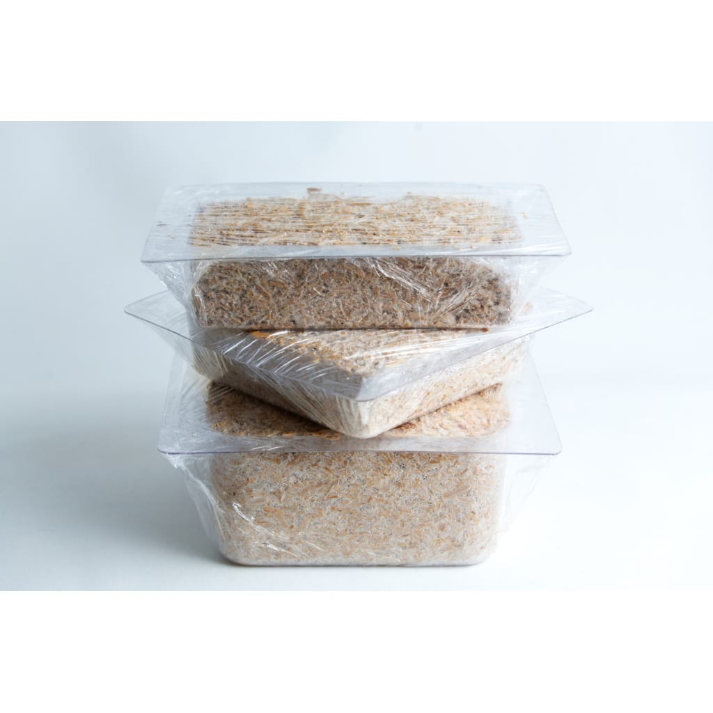 Hemp Substrate | Sawdust Substrate | Mycelium Growth Medium