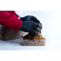 Hemp Substrate | Sawdust Substrate | Mycelium Growth Medium