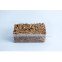 Hemp Substrate | Sawdust Substrate | Mycelium Growth Medium