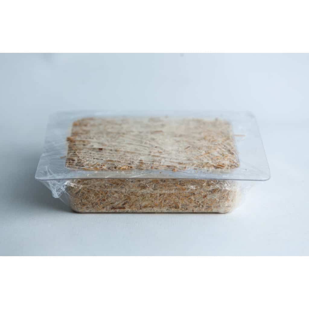 Mycelium Mold Growth Form - Paver (Reusable) | Rootlab