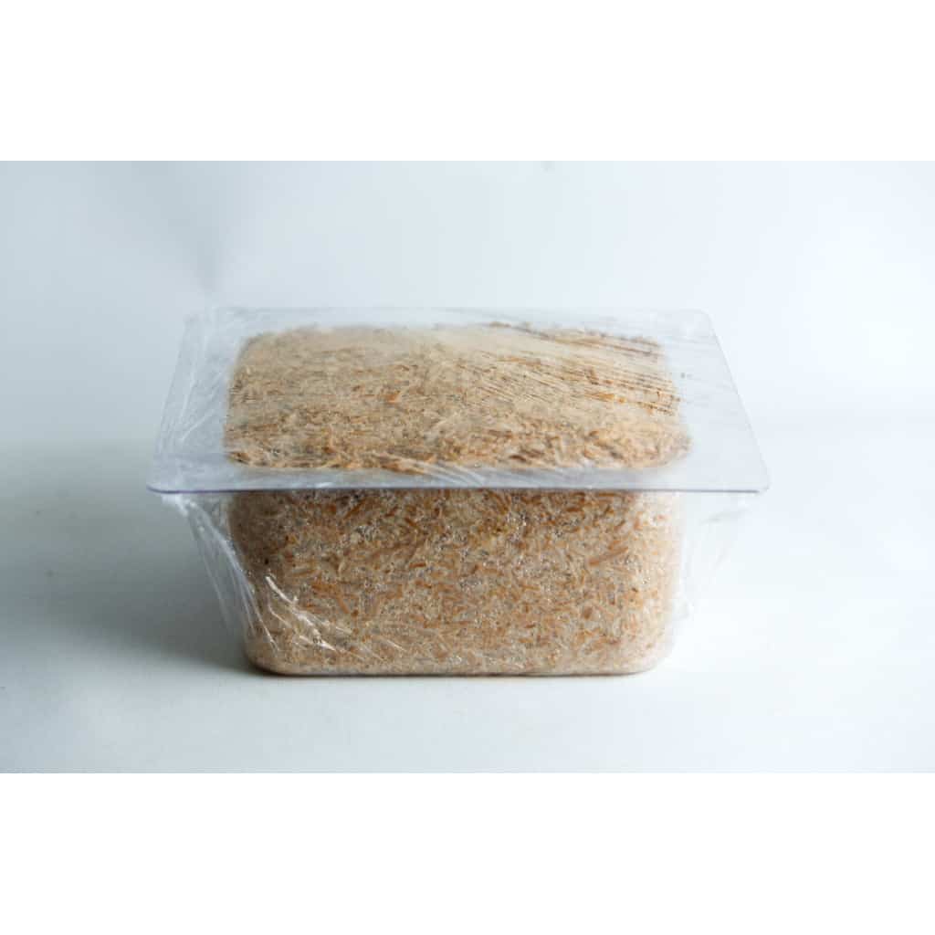 How To Make Mycelium Objects? – Rootlab