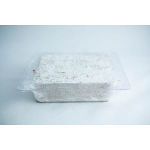 Hemp Substrate | Sawdust Substrate | Mycelium Growth Medium