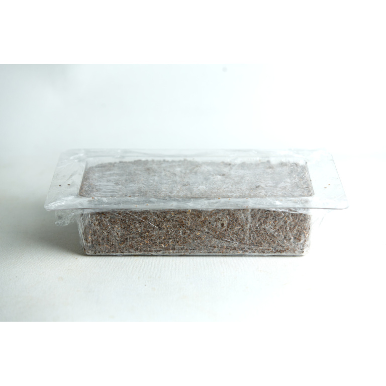 Mycelium Mold Growth Form -Brick (Reusable) | Rootlab