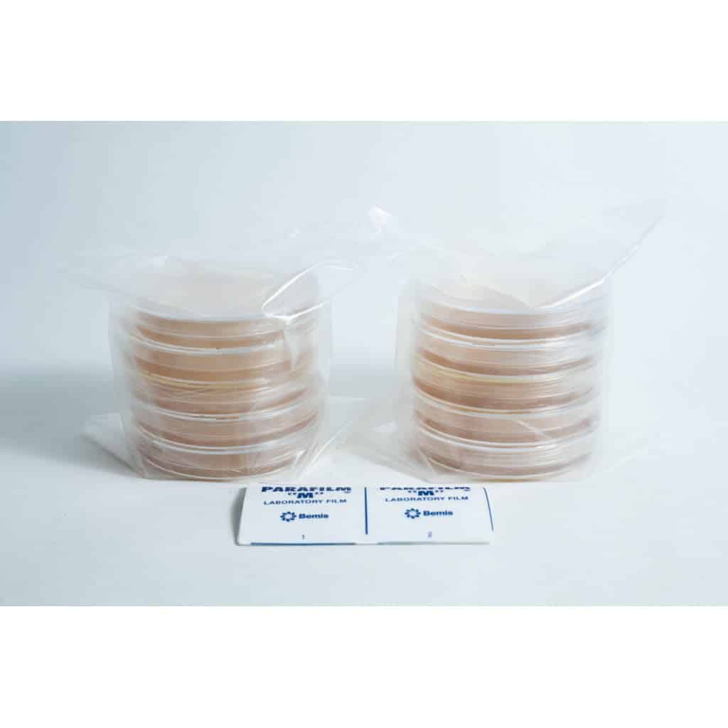 5 X Agar Plates (MEA) And 5 X Agar Plates (MEAG) Pre Poured 90mm | Rootlab