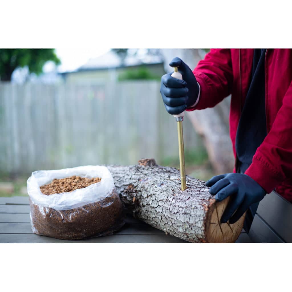 Sawdust Log Inoculation Tool For 12.5mm Hole | Rootlab