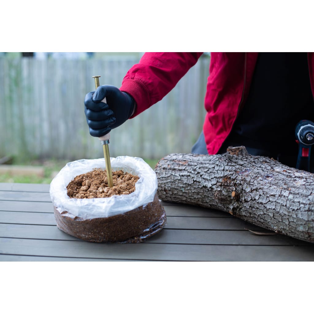 Sawdust Log Inoculation Tool For 12.5mm Hole | Rootlab