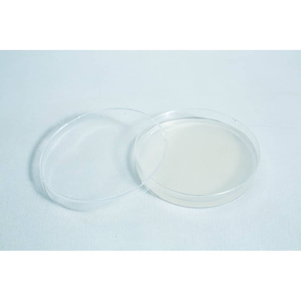 Sterile Water Agar Petri Dishes (WA) X10 With Parafilm | Rootlab