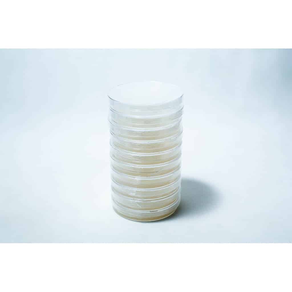 Sterile Water Agar Petri Dishes (WA) X10 With Parafilm | Rootlab