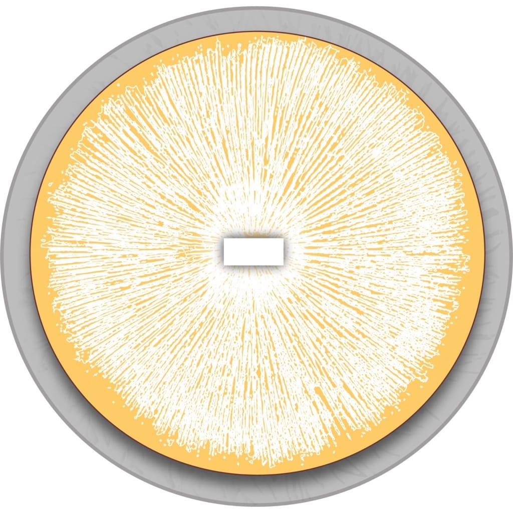 Learning Centre | Rootlab