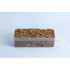 Mycelium Mold Growth Form -Brick (Reusable) | Rootlab