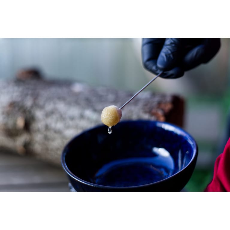 Mushroom Log Kit | Mushroom Inoculation Kit (Log Dowel)