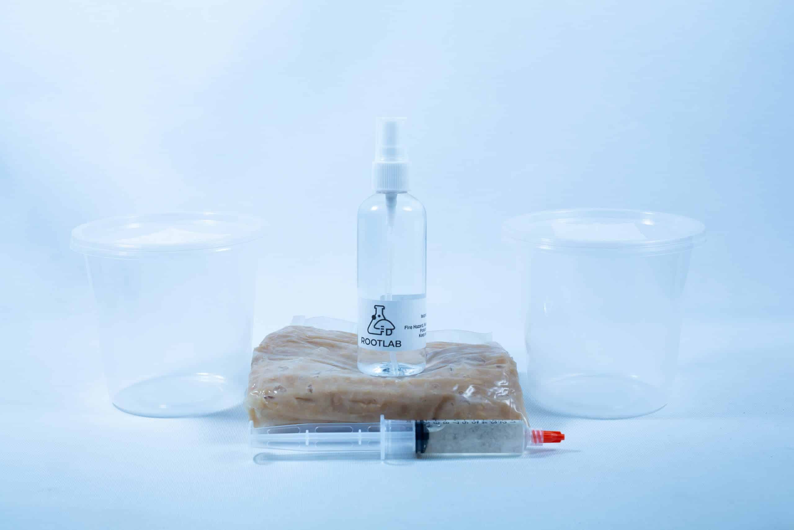 How To Grow Cordyceps Militaris – Rootlab