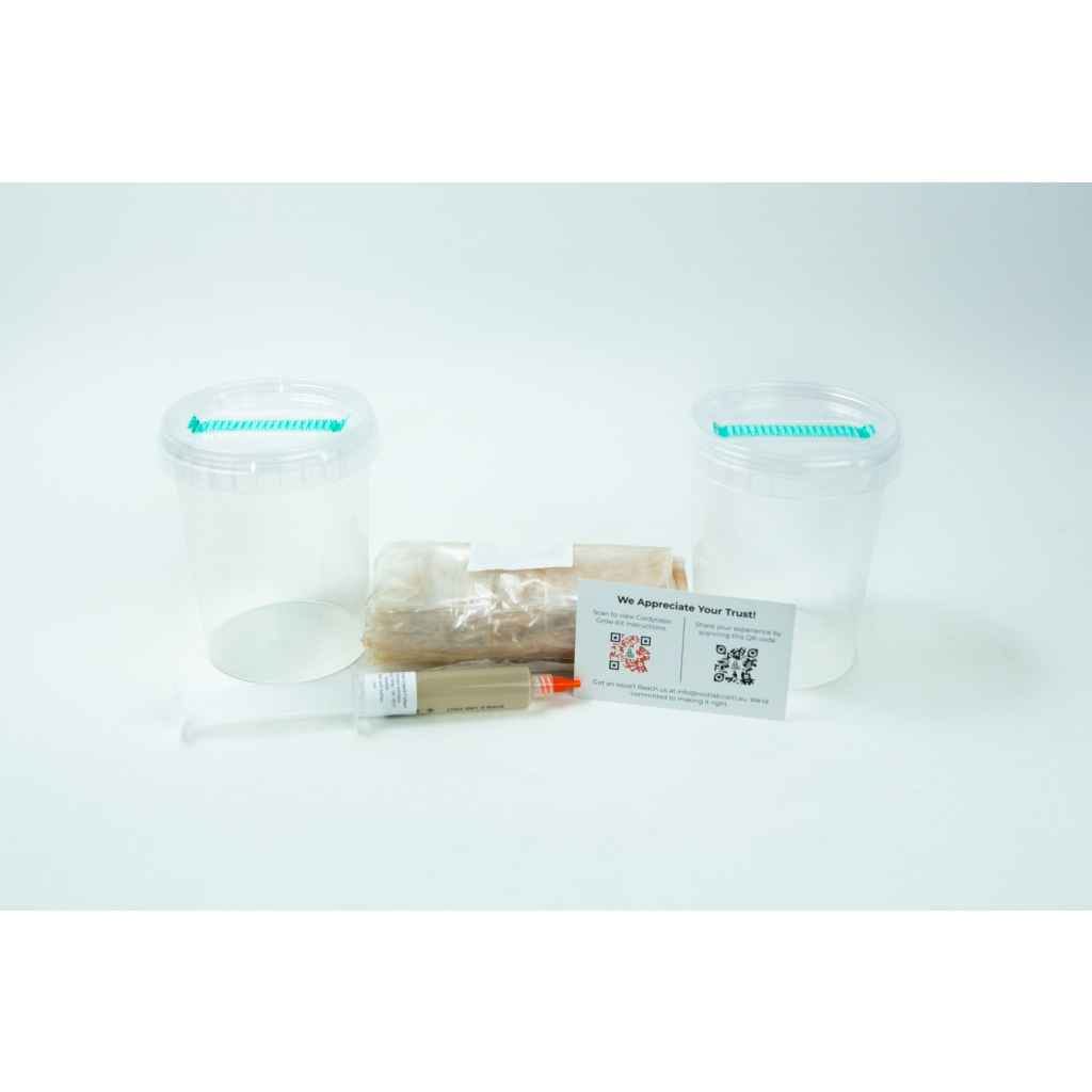 Mushroom Kit Australia | Buy Mushroom Growing Kits | Rootlab