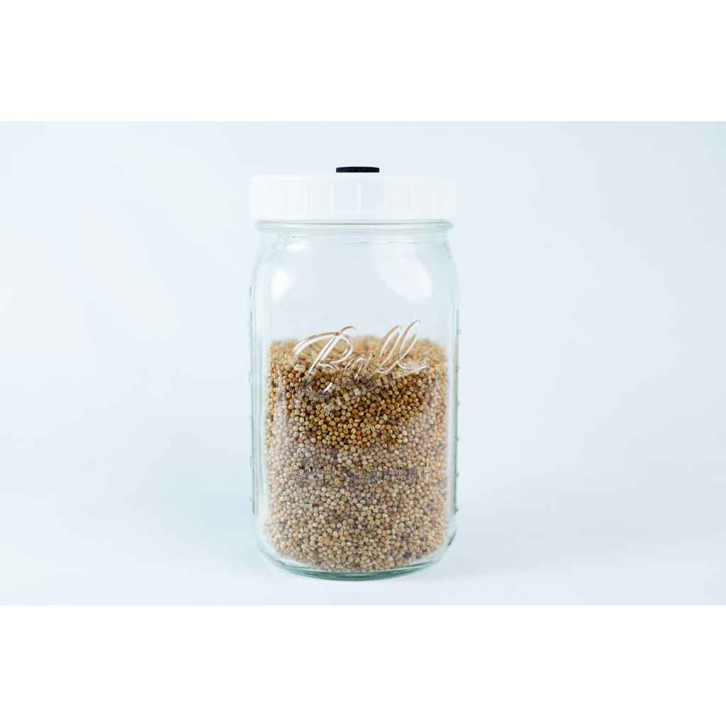 Grain Jars Ball 1 L Pre-Sterilized | Millet | Organic Rye | Reusable ...
