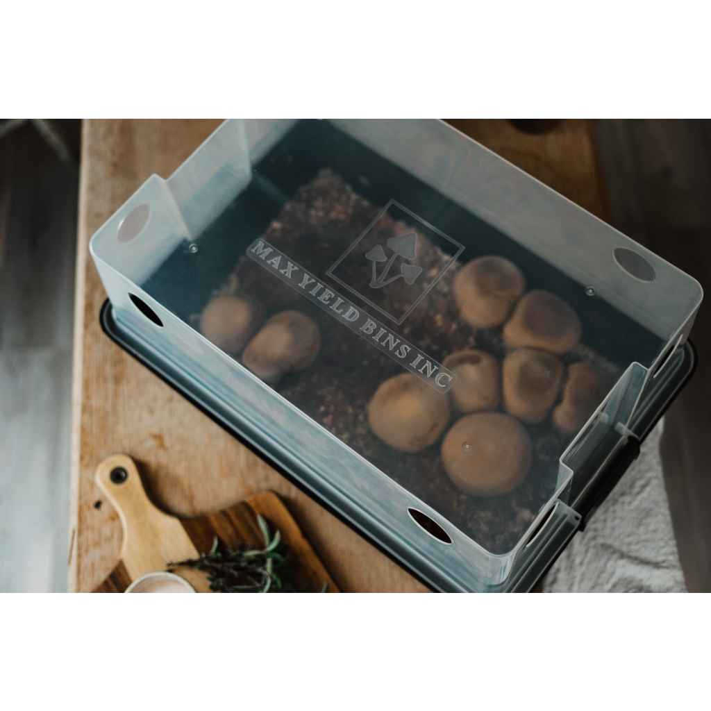 Max Yield Mushroom Grow Bins & Mushroom Growing Kit