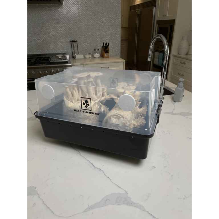 Monotub Kit For Growing Mushrooms- Max Yield Bins | Rootlab