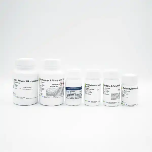 Plant Cell Tissue Culture Starter Kit | Rootlab