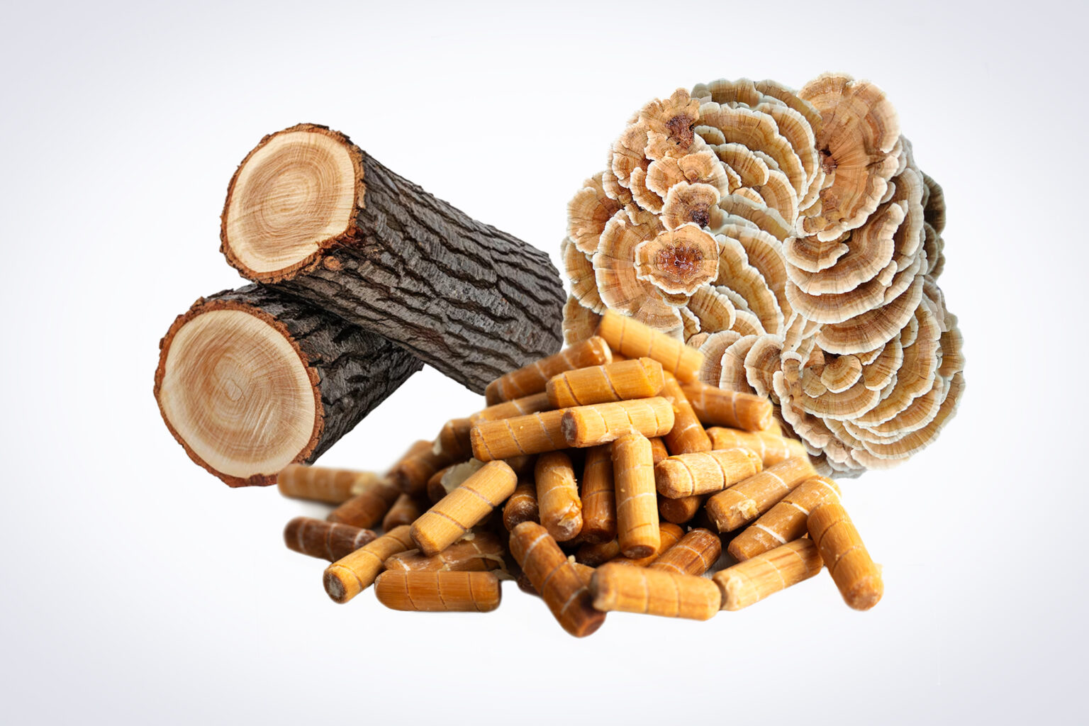 Log Dowel Mushroom Plug Spawn | Native Turkey Tail | Trametes ...